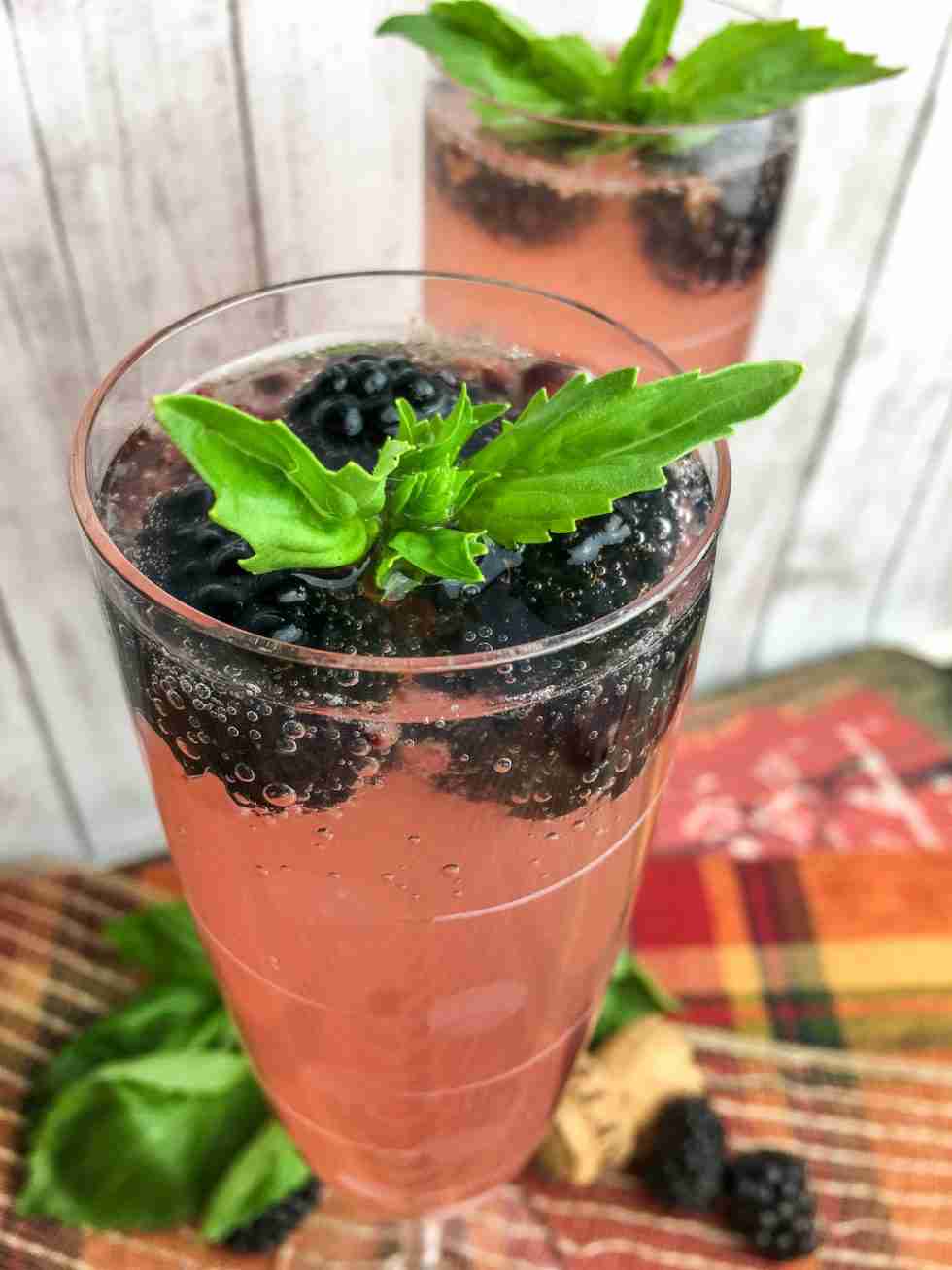 Sparkling Blackberry Basil Cocktail - On and Off Keto